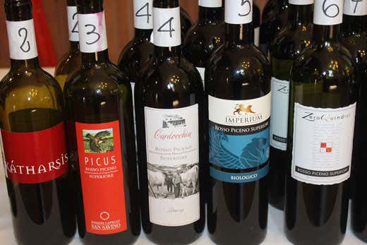 I vitigni più preziosi delle Marche al centro dell'Anteprima dei Vini ...