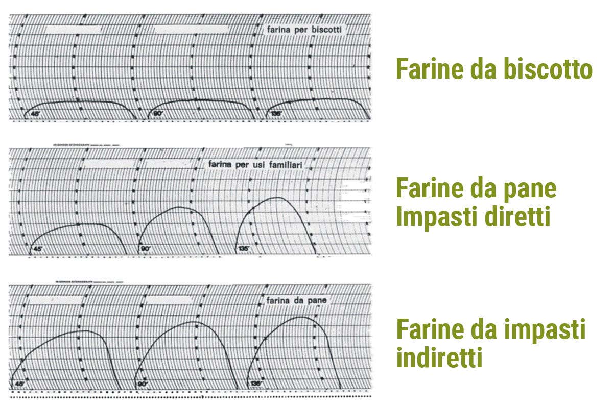 Come scegliere la farina giusta per impasti e dolci: trucchi e segreti della pasticceria ...