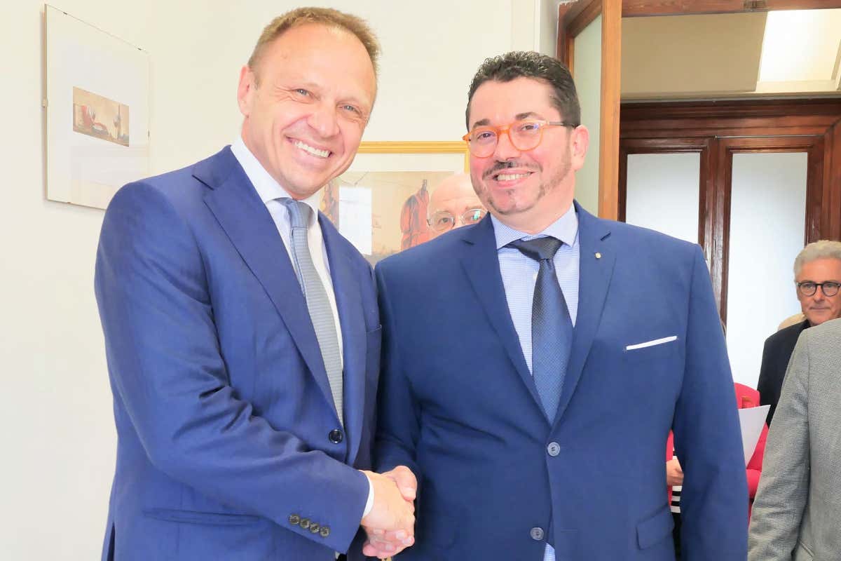 Comitato nazionale vino Dop e Igp: Michele Zanardo torna presidente ...