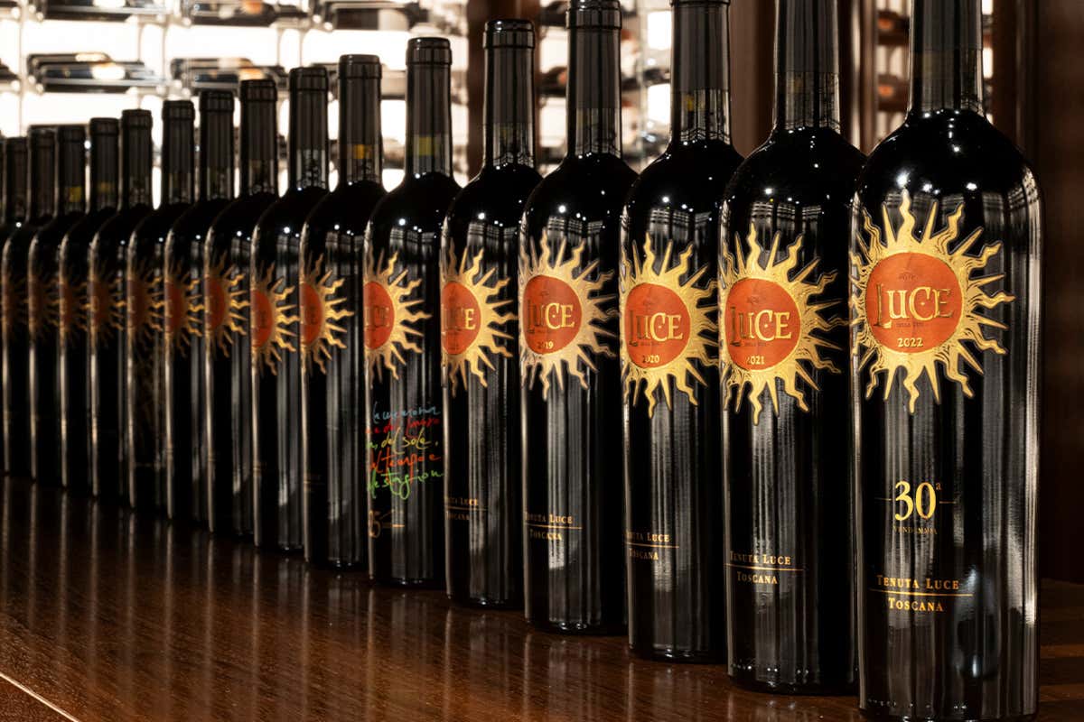 Luce, il vino icona di Tenuta Luce, si racconta in 30 vendemmie ...