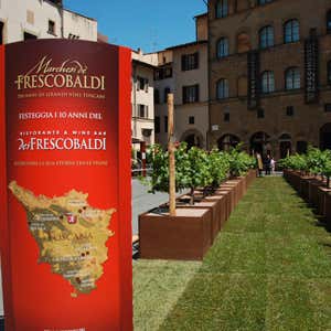 Festa in un angolo di vigna a Firenze 10 anni del ristorante "dei ...