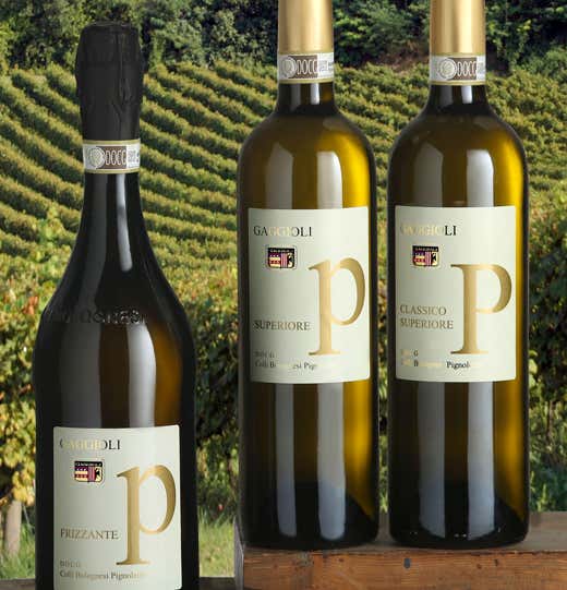 Gaggioli rinnova il packaging dei vini Etichette più moderne e unità ...