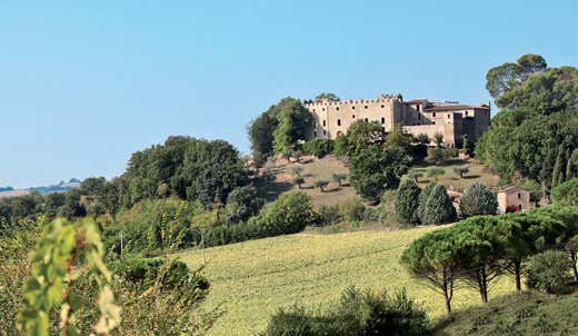 Viti umbre, radici pugliesiNel castello delle Cantine Aliani - Italia a Tavola
