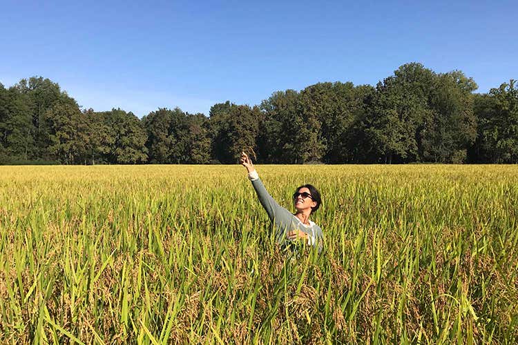 Riso Riserva San Massimo, una nuova immagine oltre il pack - Italia a ...