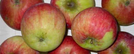 Melo Miali - SCHEDA - Italia a Tavola