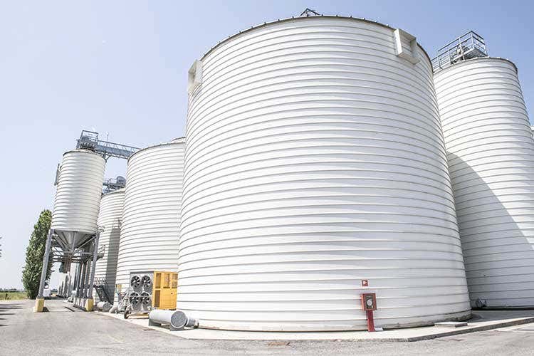 Molini Pivetti, la farina non si ferma - Italia a Tavola