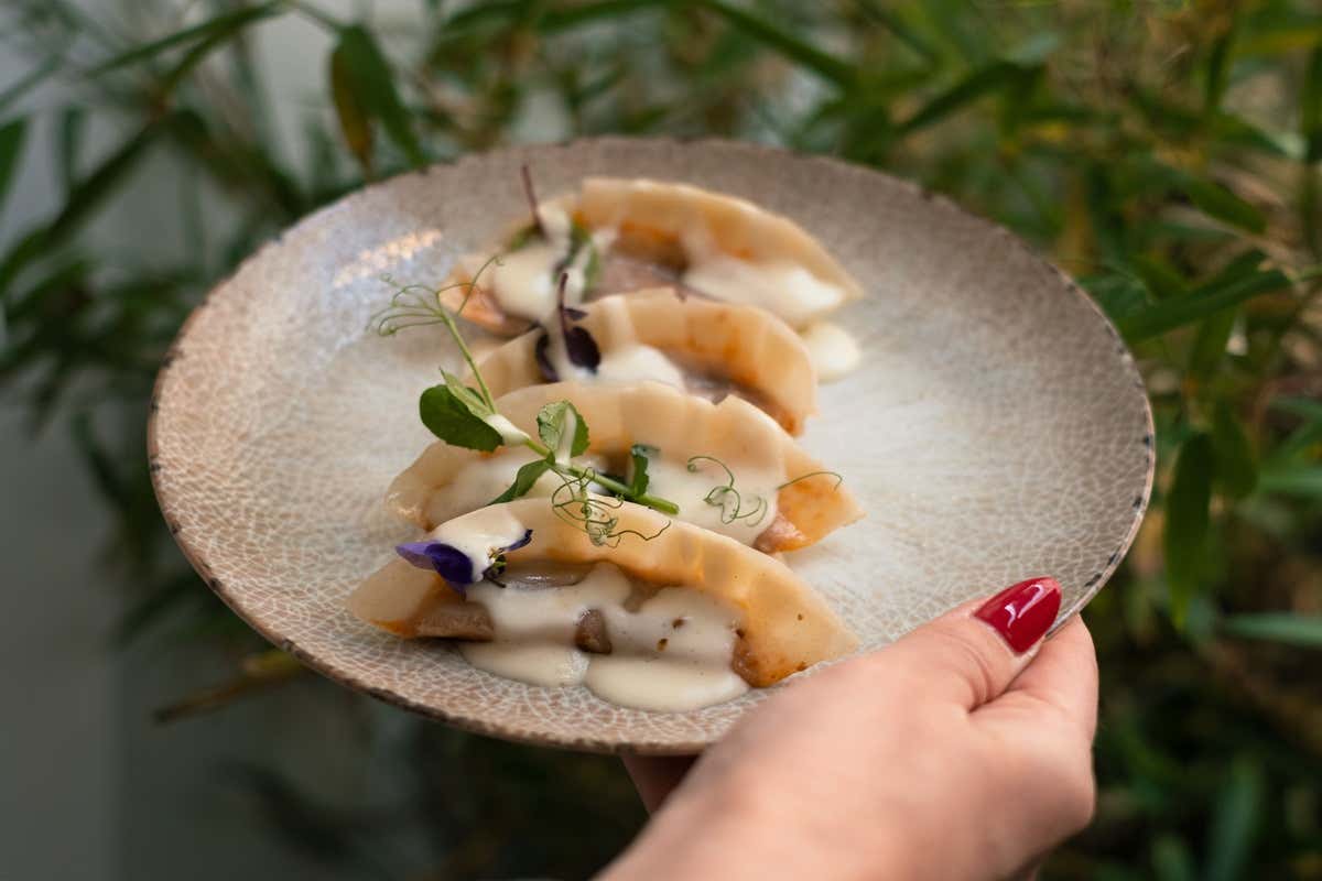 Anna al 20: dove la tradizione bolognese incontra i sapori romani e ...