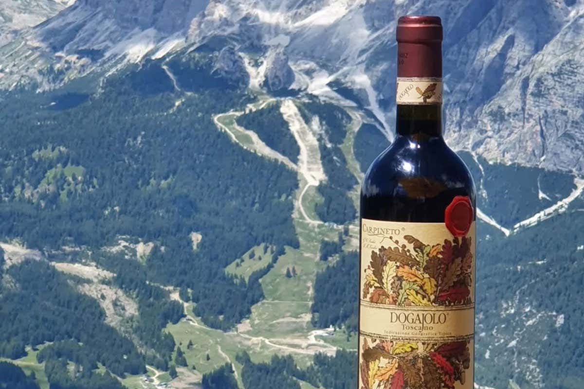 Esplorando l'estate con un calice: 5 luoghi da visitare e i vini da ...