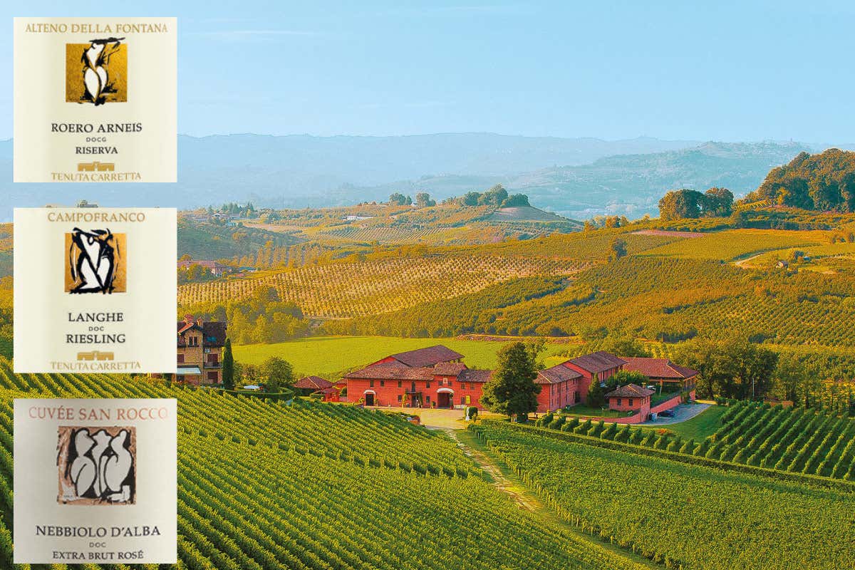 Tenuta Carretta e le etichette d’autore firmate da Rosetta Avalle ...