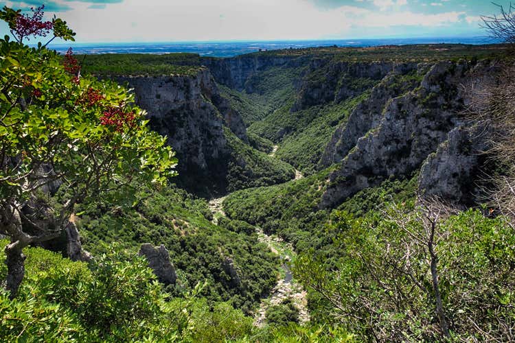 Terra delle Gravine Storia, cultura e fascino - Italia a Tavola