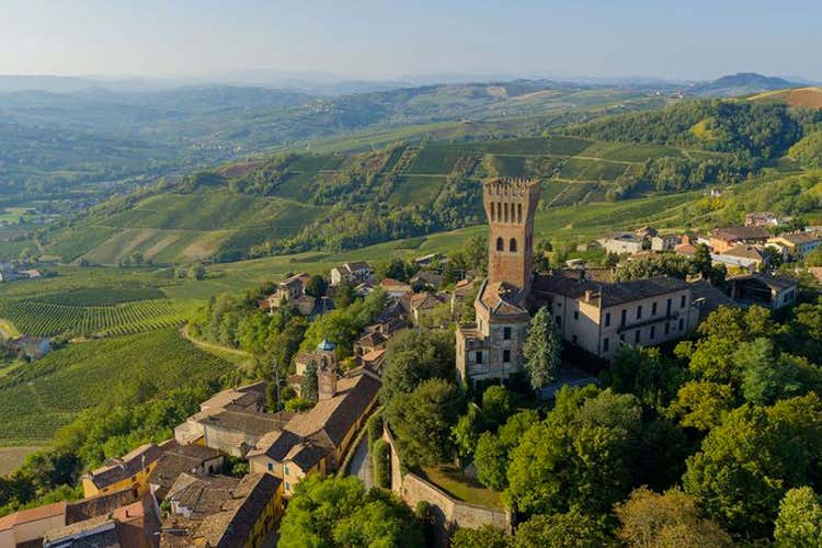 Castello di Cigognola fa il pieno con la vendemmia anticipata - Italia ...