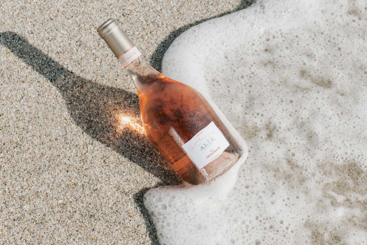 Dal mare alla tavola: 10 anni di Alìe, rosé della Marchesi Frescobaldi ...