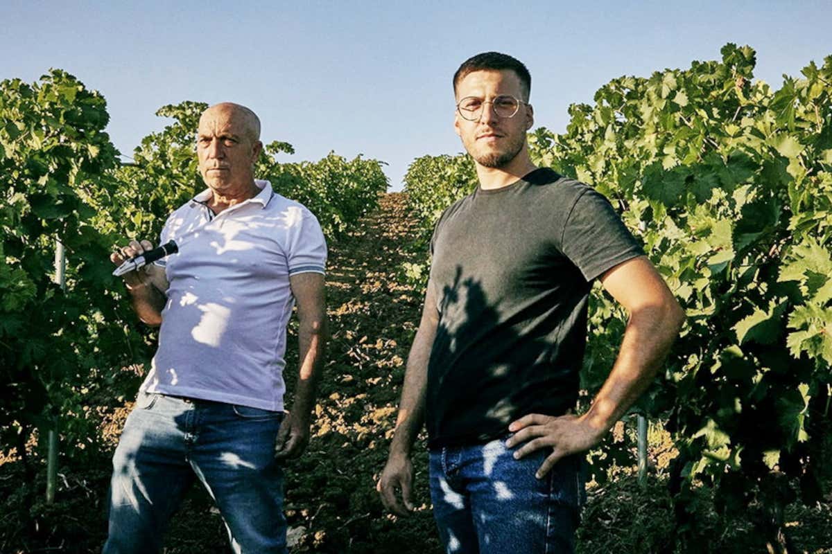 Bianco e Rosso di Case Alte, eccellenti espressioni di Catarratto e ...
