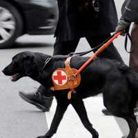 Piemonte, per vedere oltre Il turismo alla portata di tutti - Italia a ...