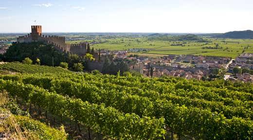 Territorio, giovani e bere consapevole Gli obiettivi di Cantine Riondo ...