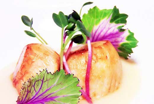 Entrèe di capasanta allo yuzu su beurre blanc al midollo di bue - Food ...