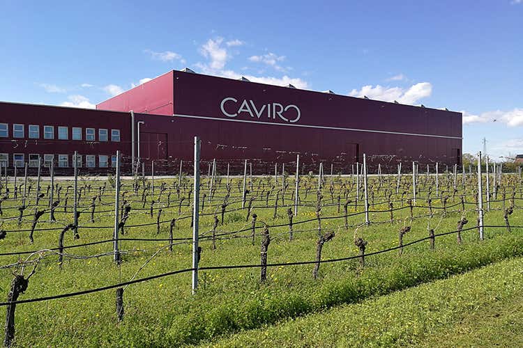 Export, Gdo e alcol trascinano il fatturato del Gruppo Caviro - Italia ...