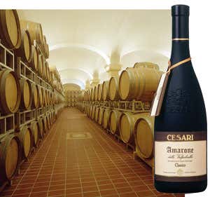 Franco Cesari svela i segreti dei vini simbolo della Valpolicella ...