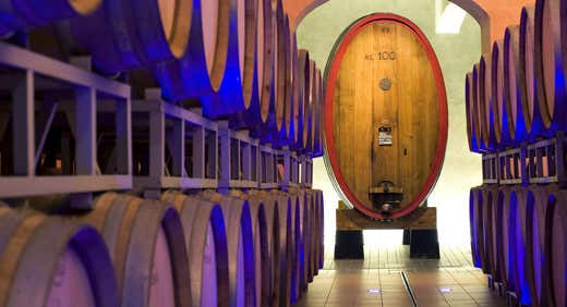 Collis Veneto Wine Group Sintesi perfetta del vino di collina - Italia ...