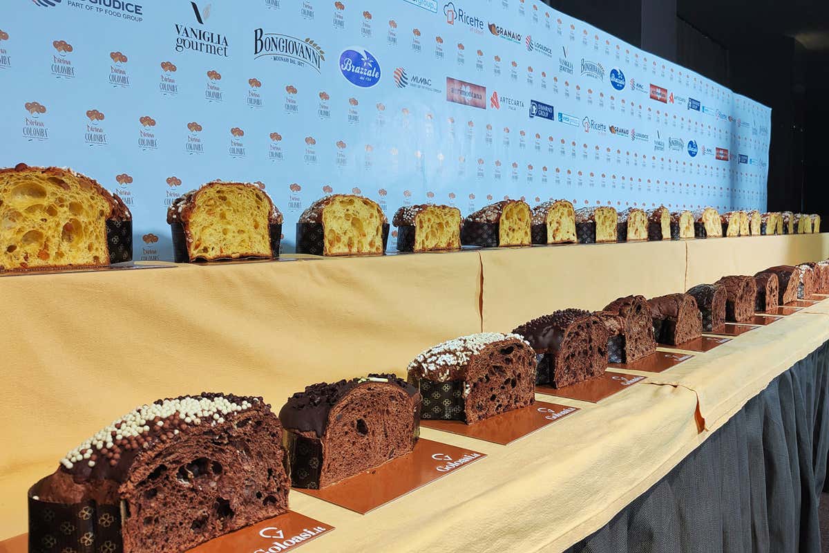 La “Divina colomba 2024” tradizionale è campana: trionfa Gianluca ...