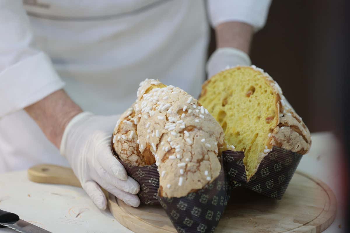 Colomba classica, Michele Pirro vince (ancora) ai campionati italiani ...