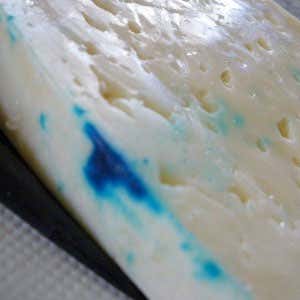 Formaggio a macchie blu a Termoli In corso le indagini dei Nas - Italia ...