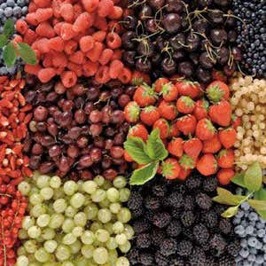 Un Magic code per la frutta Obiettivo: valorizzare la qualità - Italia ...