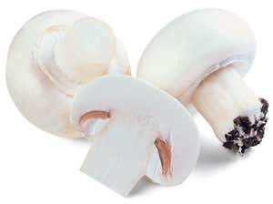 Il cuoco Alessandro Giraudo vince “Il Fungo d’oro” di Pinerolo - Italia ...