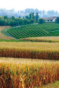 Viaggio per immagini ed emozioni tra le colline moreniche del Garda ...