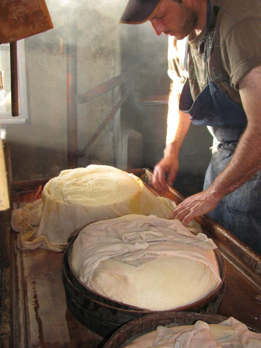 Bitto, il formaggio “perenne” Un valtellinese di antica memoria ...