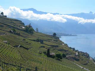 Un viaggio da sogno tra i vigneti sospesi tra il cielo e il lago Lemano ...