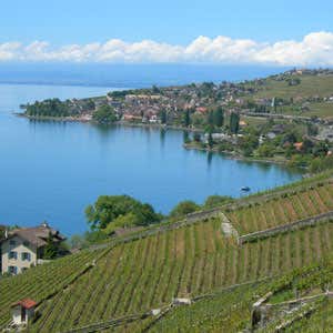 Un viaggio da sogno tra i vigneti sospesi tra il cielo e il lago Lemano ...