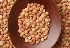 Lenticchia di Altamura - SCHEDA - Italia a Tavola