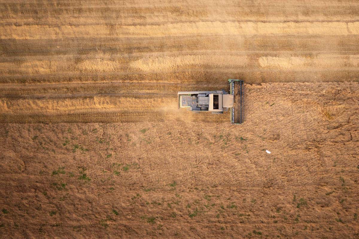 Molini Pivetti: 150 anni di una tradizione molitoria di famiglia - Italia a Tavola