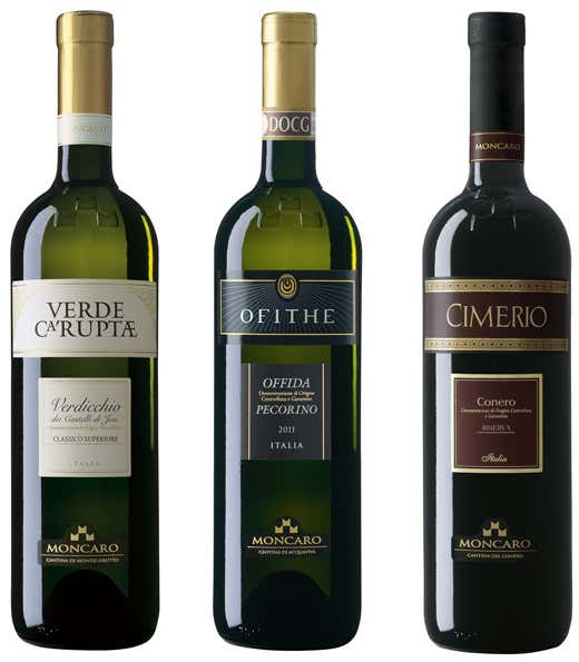 Cinquant’anni di vini autoctoni Moncaro celebra un grande traguardo ...