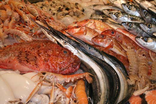 Il pesce fresco di qualitàfa la differenza nella ristorazione - Italia ...