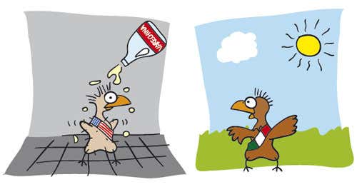 Pollo alla varechina Nuovo tentativo Usa - Italia a Tavola