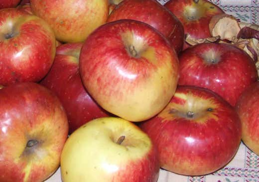 Pòm prussian - SCHEDA - Italia a Tavola