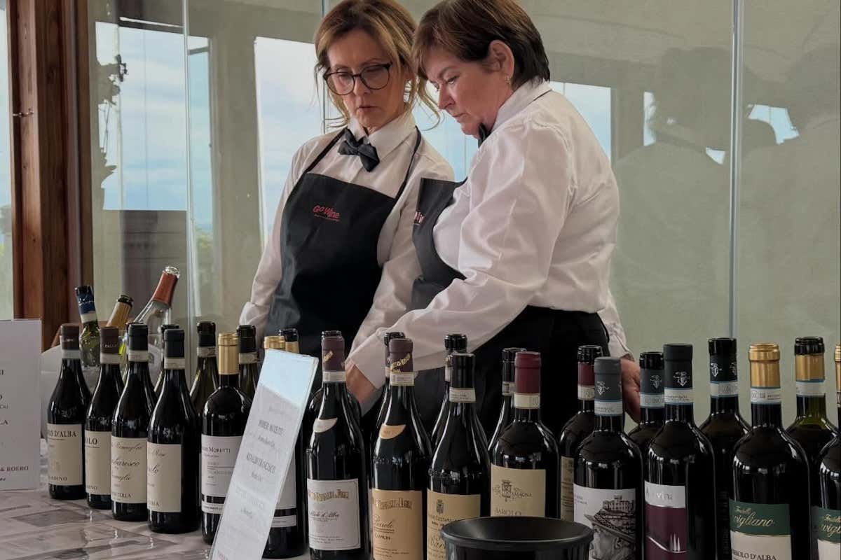 Dal Barolo al Barbaresco, il Piemonte del vino arriva sulle colline di ...