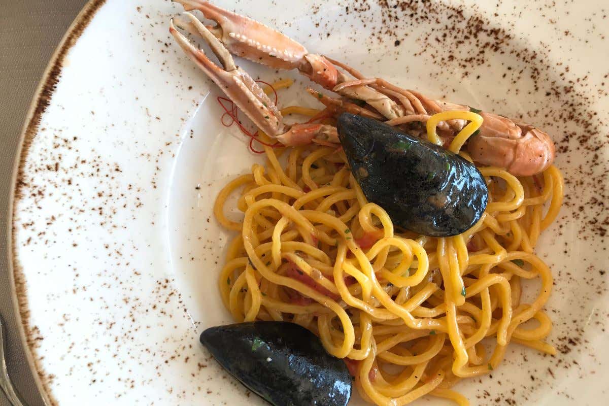 5 Stelle Michelin e il meglio del cibo, Senigallia torna a essere ...