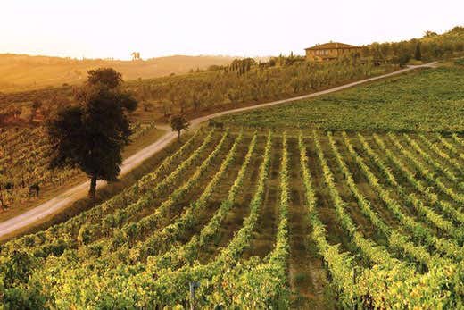 Chianti Docg - SCHEDA TECNICA - Italia a Tavola