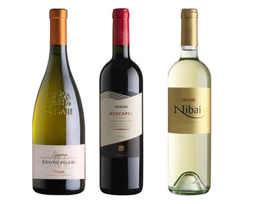 I vini di Gerardo Cesari protaginisti delle cene stellate di Fish &Chef ...