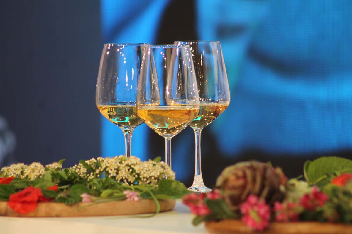 Wine Tour delle Marche: un connubio di arte, cultura e vino - Italia a ...