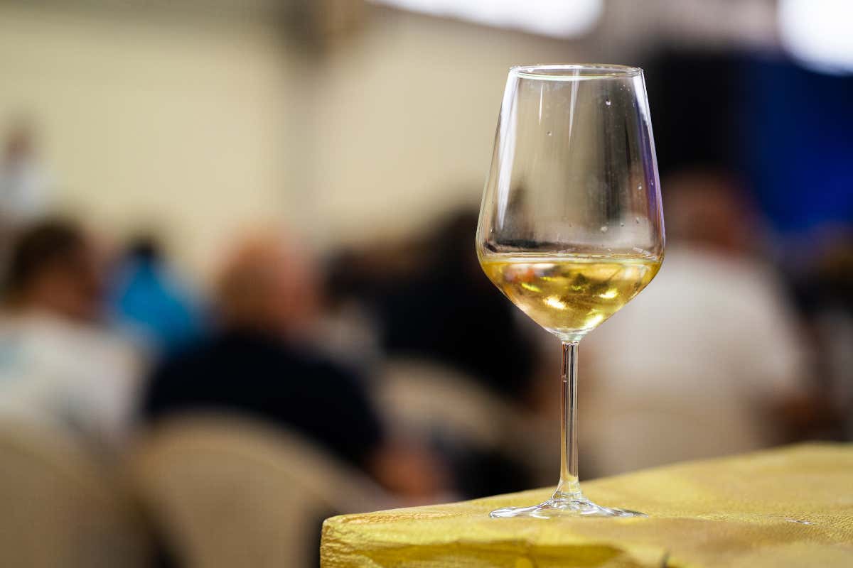 Wine Tour delle Marche: un connubio di arte, cultura e vino - Italia a ...